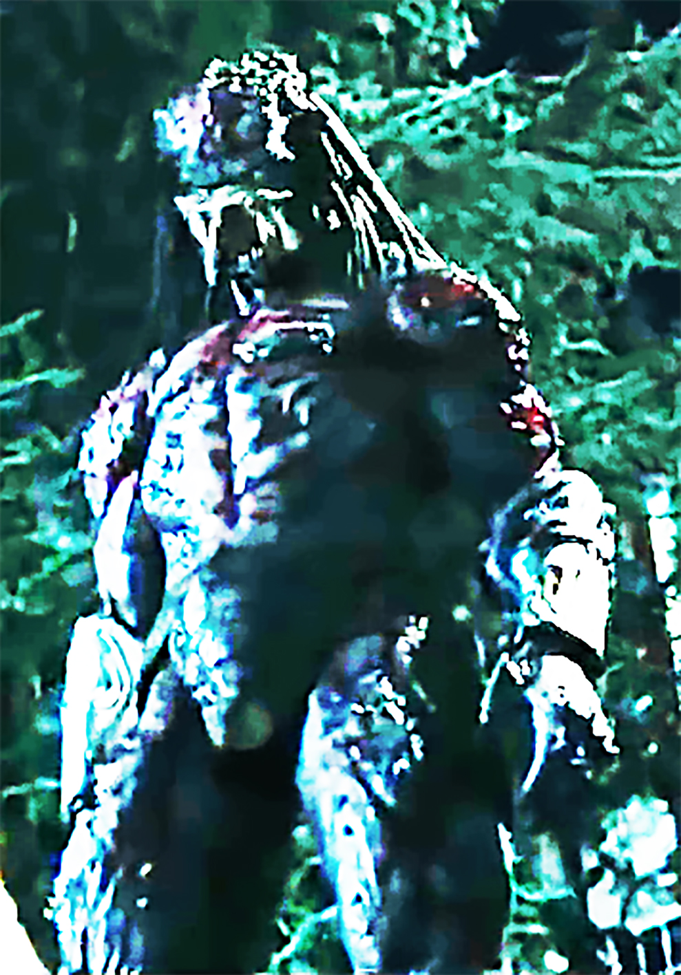 Hybridization: Have Predators found black goo mutagen? - Predator ...